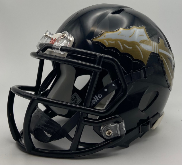 Nettleton Raiders HS 2013 & 2018 (AR) Riddell Speed