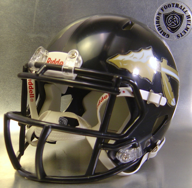California High School Mini Football Helmets