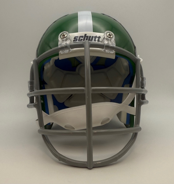 Michigan State Spartans 1973