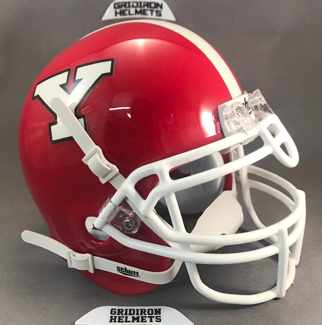 YOUNGSTOWN STATE Penguins Schutt round earhole 1989-2011 & 2015-2021 ...