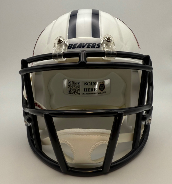 American River College Beavers 2024 Riddell Speed