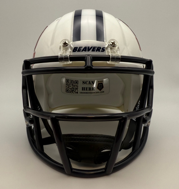 American River College Beavers 2024 Riddell Speed