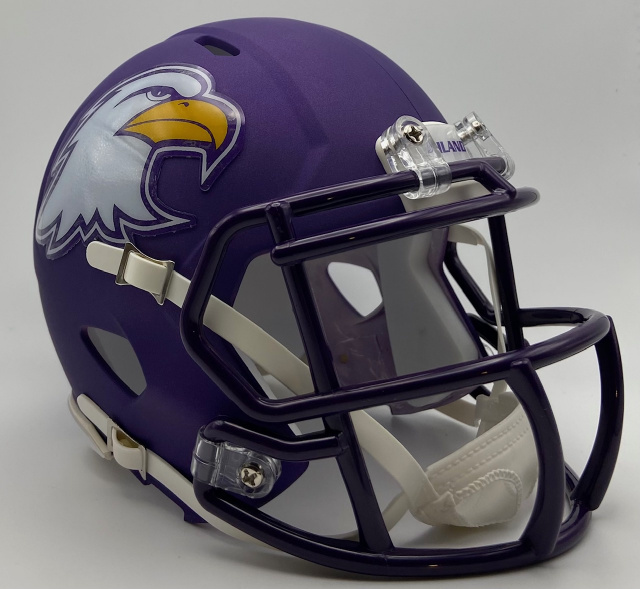 Ashland University Eagles Riddell Speed Satin Purple