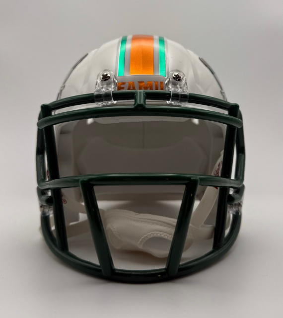 Florida A&M Rattlers 2024 Riddell Speed Mini Helmet With Chrome Decals