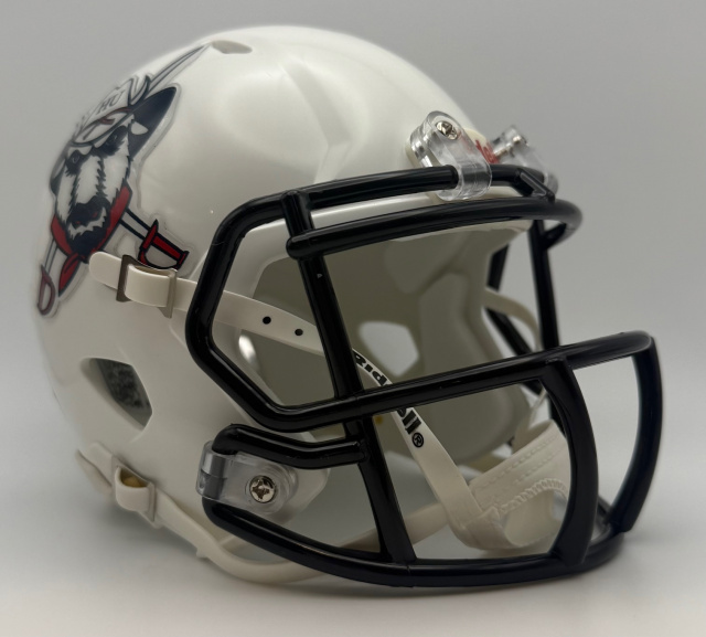 Howard Bison 1996-2001 Riddell Speed