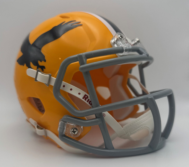Iowa Hawkeyes 1968 Riddell Speed
