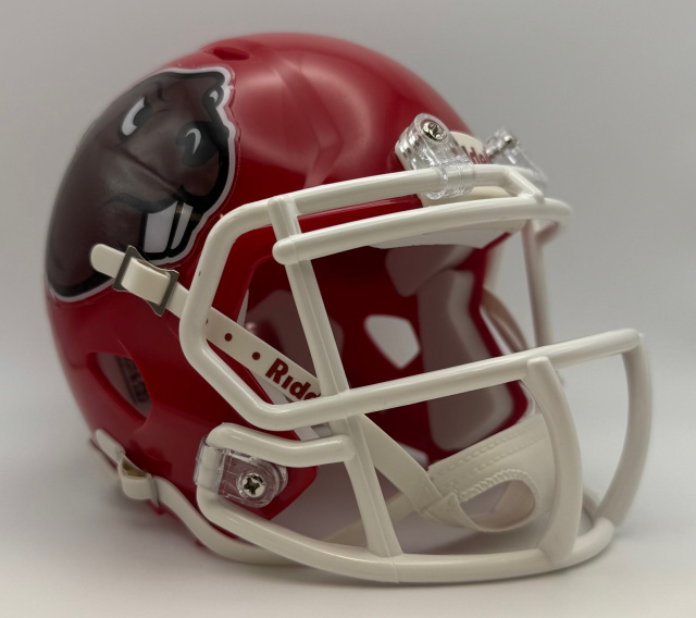 Minot State Beavers 2018-2019 (ND) Riddell Speed