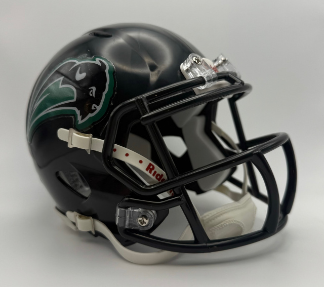 Nichols College Bison 2018-2019 Riddell Speed