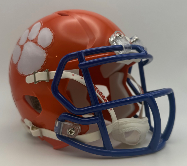 Savannah State University Tigeres Riddell Speed 1990
