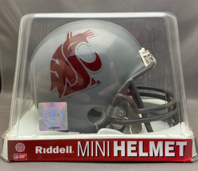 Washington State Cougars Riddell VSR4 2011-2015 Gray Helmet