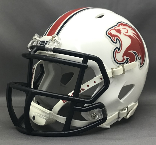 High School Mini football helmets home page