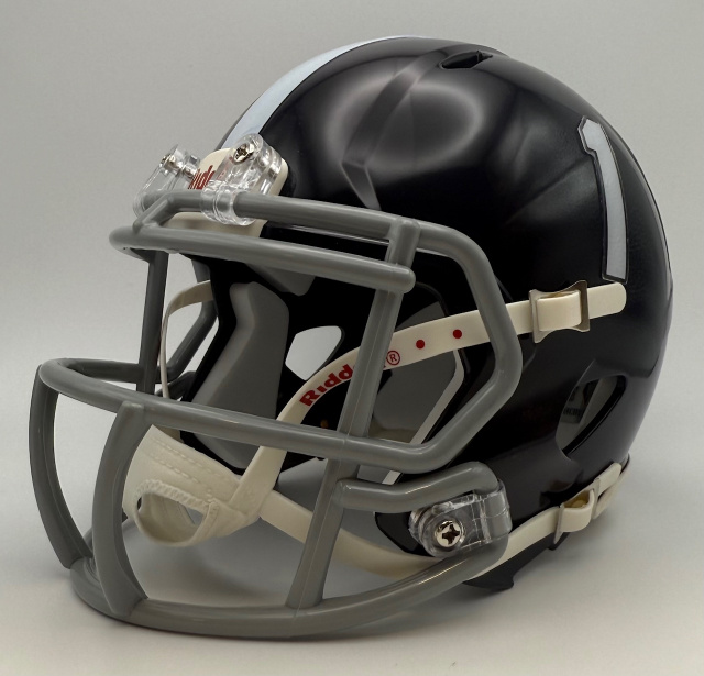 Florida High School Mini Football Helmets