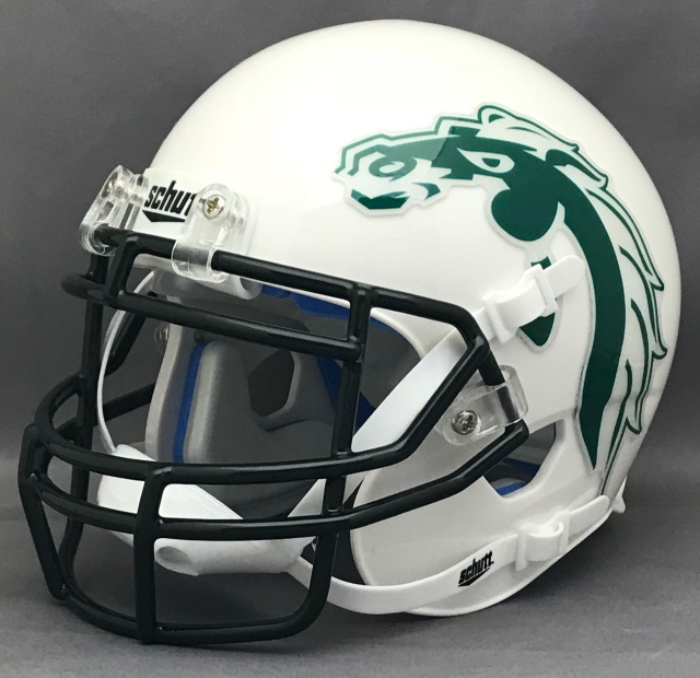 Florida High School Mini Football Helmets