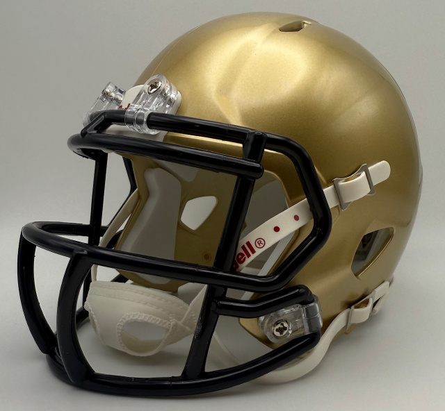 Florida High School Mini Football Helmets