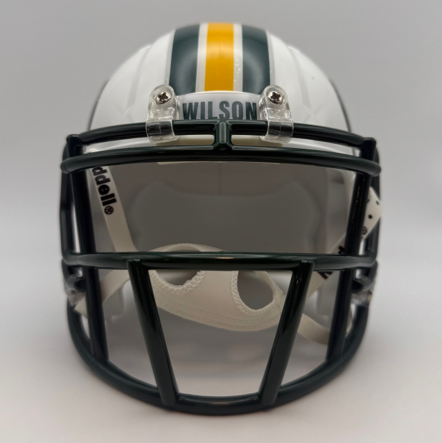 Florida High School Mini Football Helmets