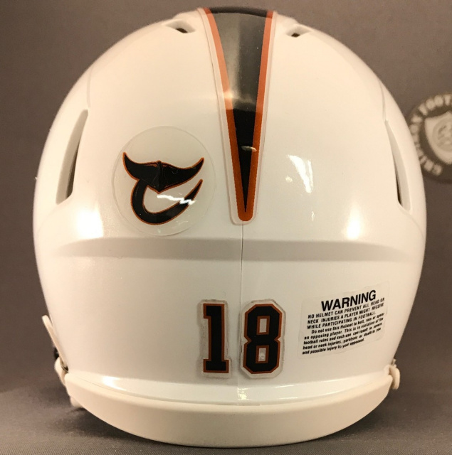 Florida High School Mini Football Helmets