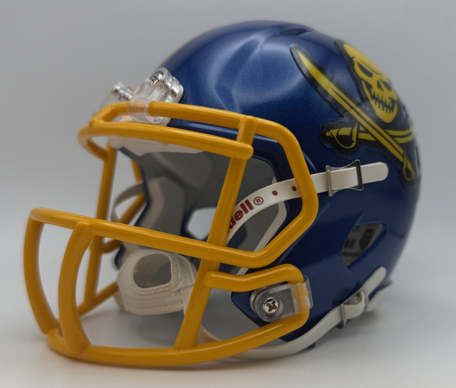 Georgia High School mini football helmets