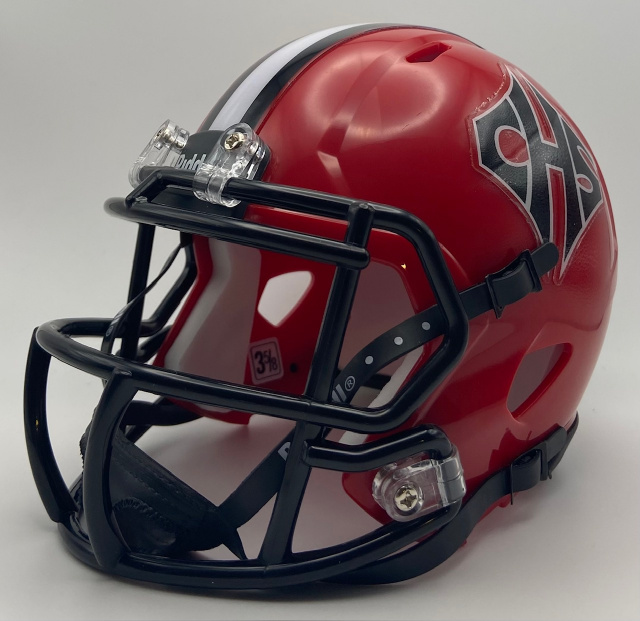 Georgia High School mini football helmets