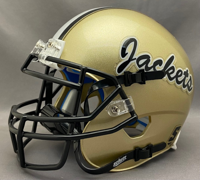 Georgia High School mini football helmets