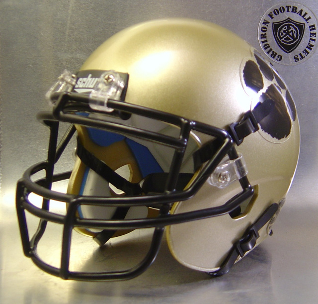 Georgia High School mini football helmets