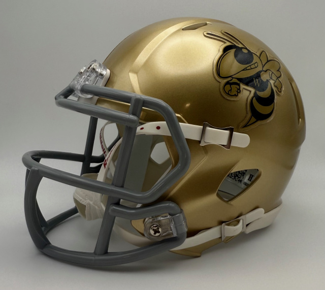 Georgia High School mini football helmets