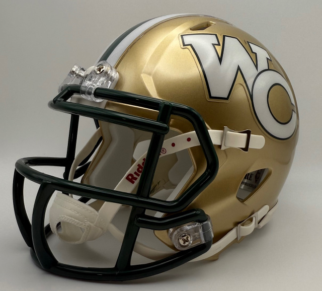Georgia High School mini football helmets