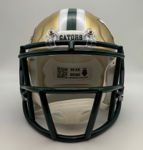 Georgia High School mini football helmets