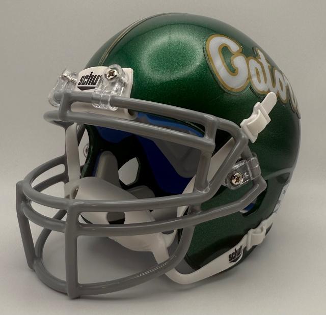 Georgia High School mini football helmets