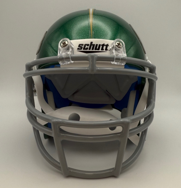 Georgia High School mini football helmets