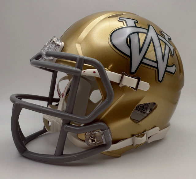 Georgia High School mini football helmets