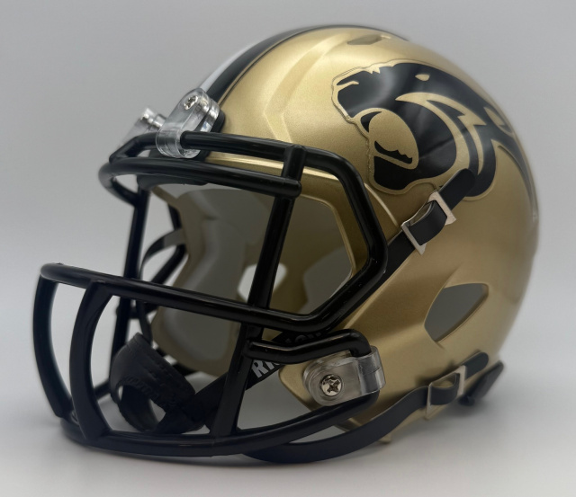 Corydon Central Panthers HS (IN) 2025 Riddell Speed