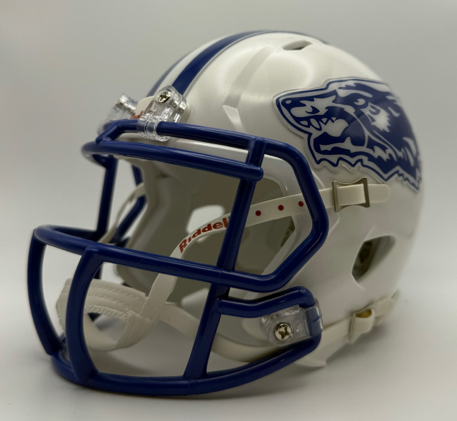 Paris Coyotes HS (MO) 2024-2025 Riddell Speed Royal Mask