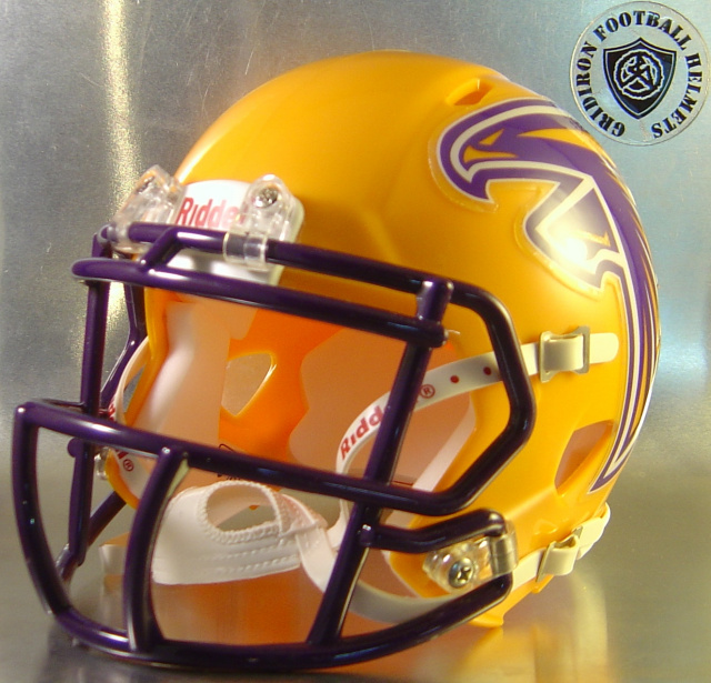 Columbus Falcons HS 2015 (MS) Riddell Speed