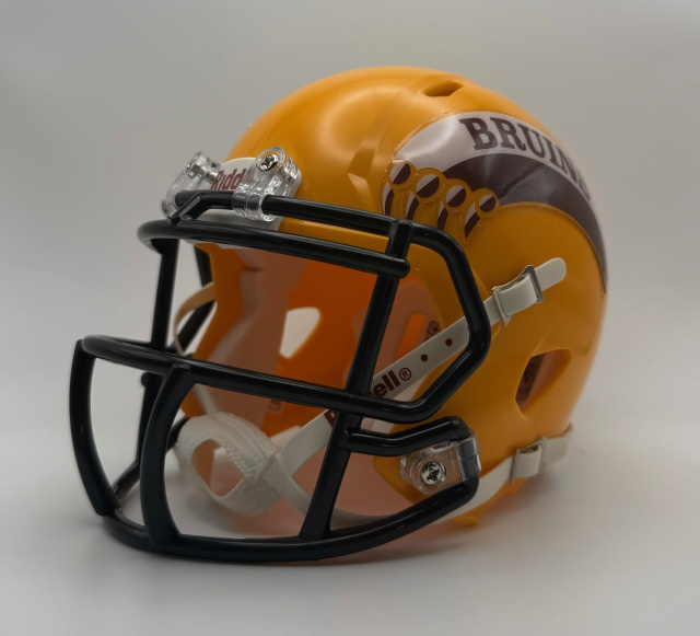 High School Mini football helmets home page