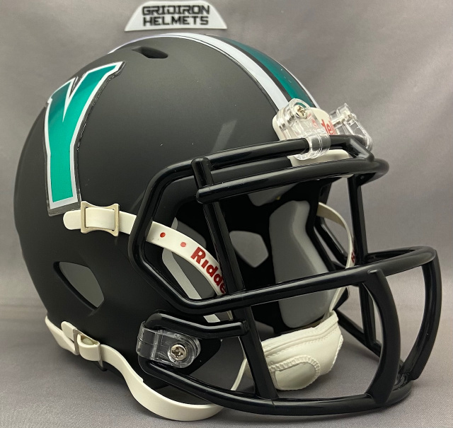 New_York_High_School_MIni_Football_Helmets