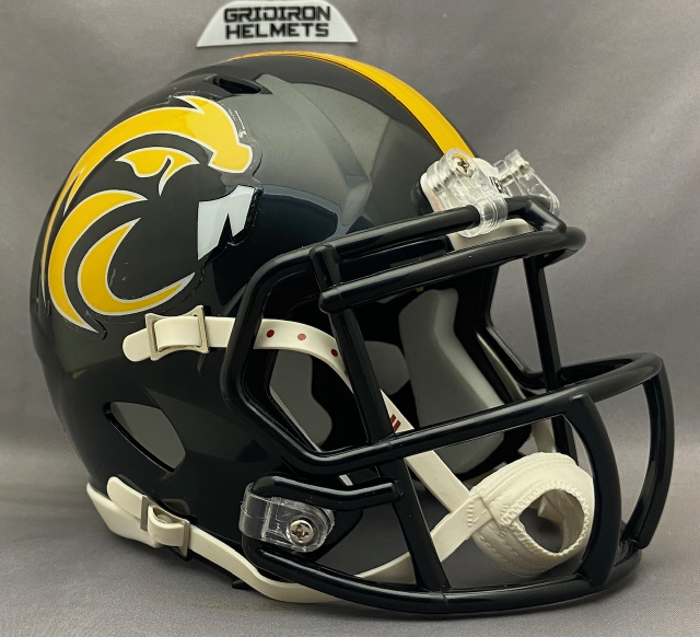 Riverside Beavers HS 2013-2016 Painesville (OH) Riddell Speed