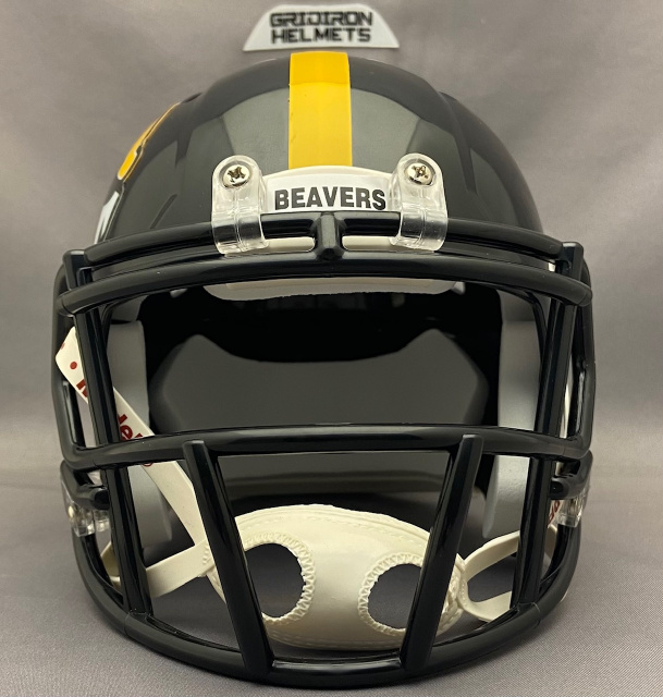 Riverside Beavers HS 2013-2016 Painesville (OH) Riddell Speed