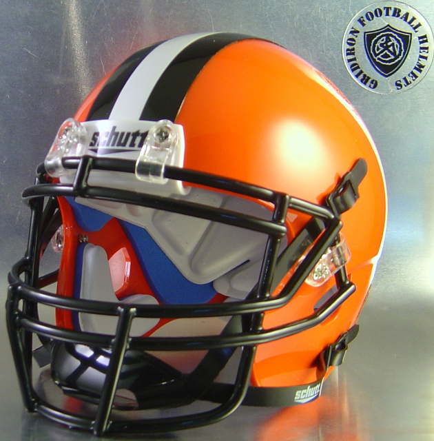 Versailles Tigers High School 2015-2019 (OH)