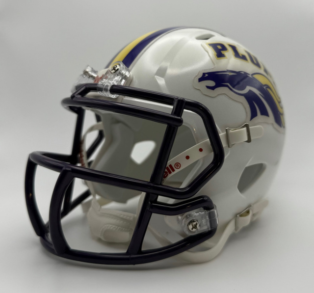 Plum Mustangs HS 2014 (PA) Riddell Speed