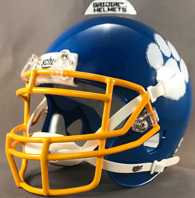 Springfield Cougars HS (Delco)2014-2015 (PA) Riddell Speed