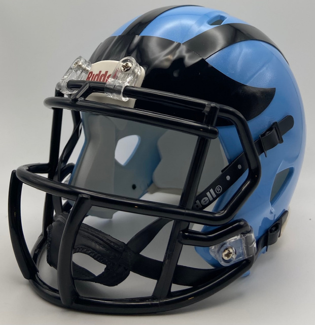 NFL Mini Helmets