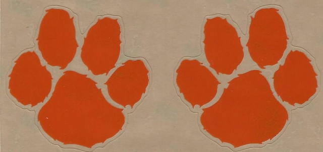 Tiger Paws Orange