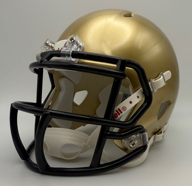 Pendleton Bulldogs HS (SC) 2017 Riddell Speed