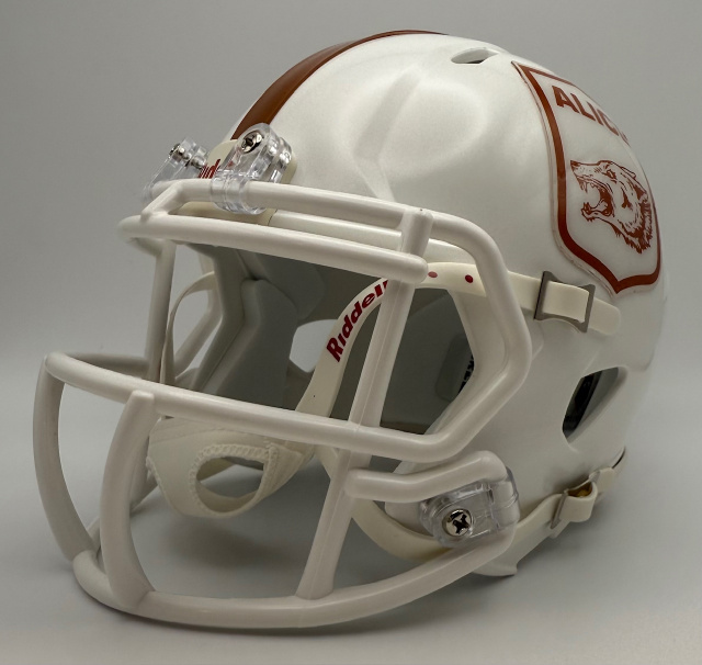 Texas High School Mini Football Helmets