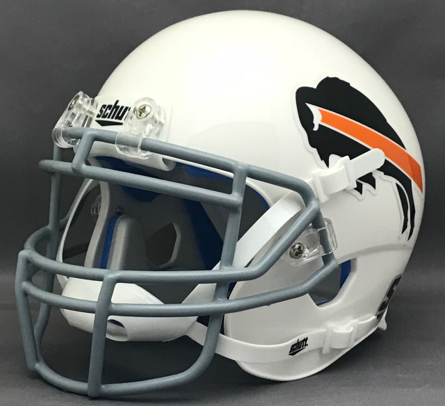 Texas High School Mini Football Helmets
