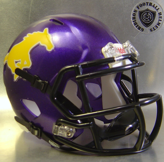 Texas High School Mini Football Helmets