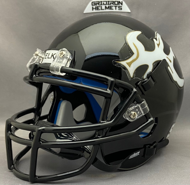 Texas High School Mini Football Helmets