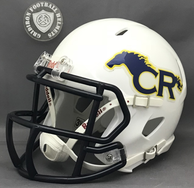 Texas High School Mini Football Helmets