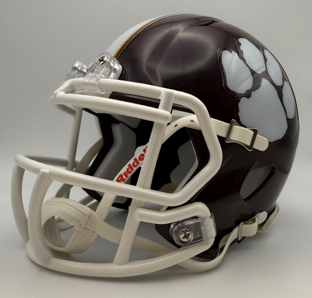 Texas High School Mini Football Helmets