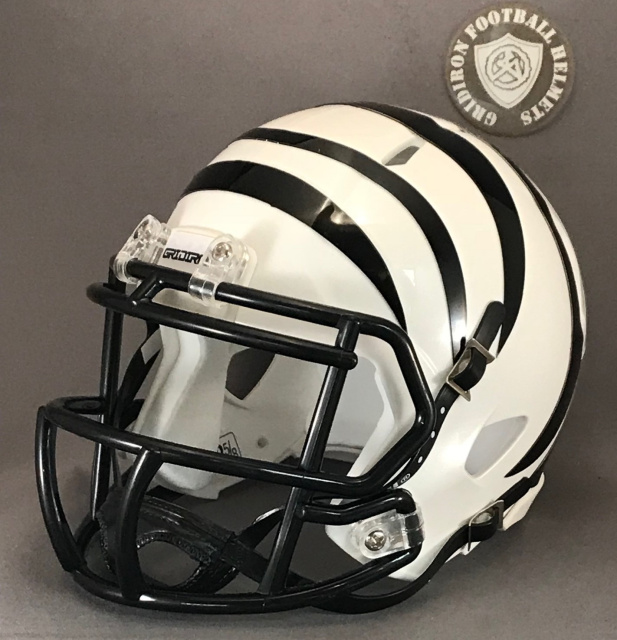 Texas High School Mini Football Helmets